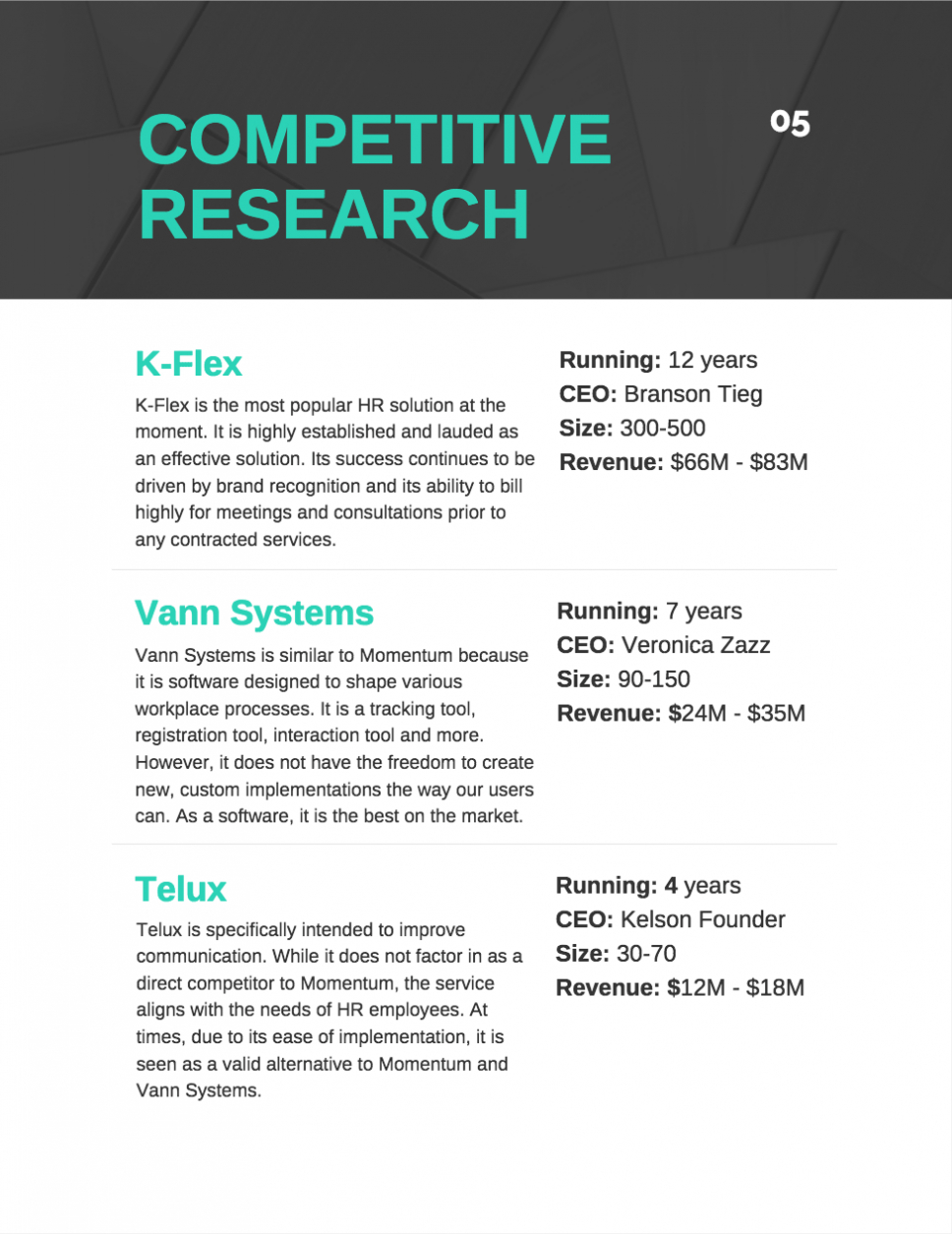 Company Analysis Report Template